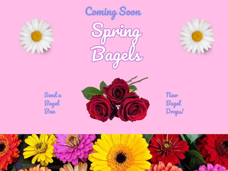 Bagel Bazaar Nationwide Shipping