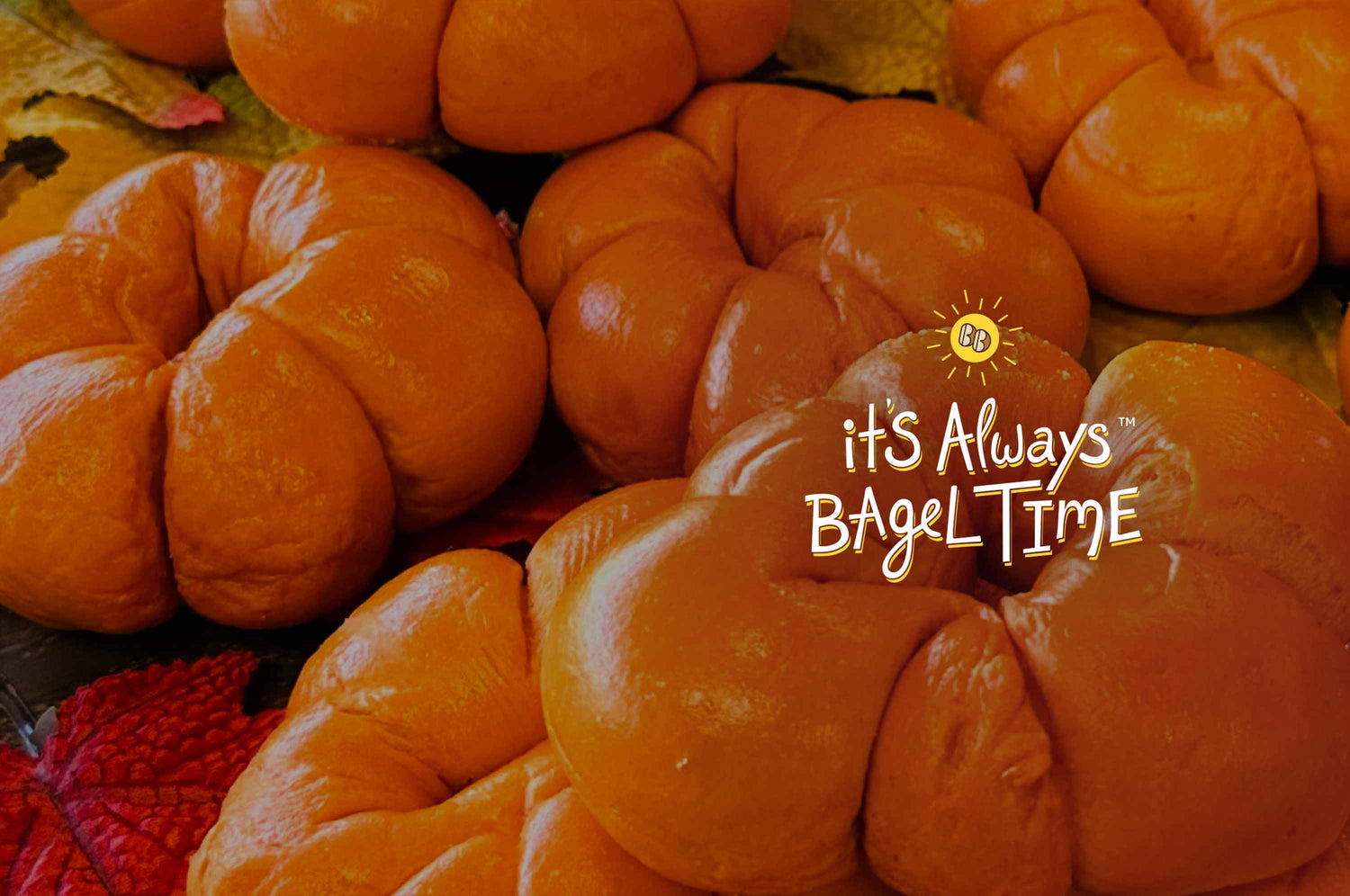 Bagel Bazaar Nationwide Shipping